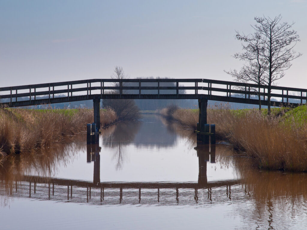 Signs Your Walkway or Bridge Needs Repair or Replacement